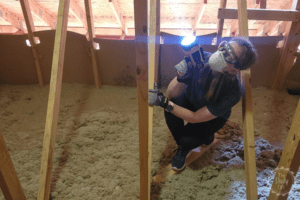 Attic Inspection: How and Why You Should Do It Now - The Daily DIY